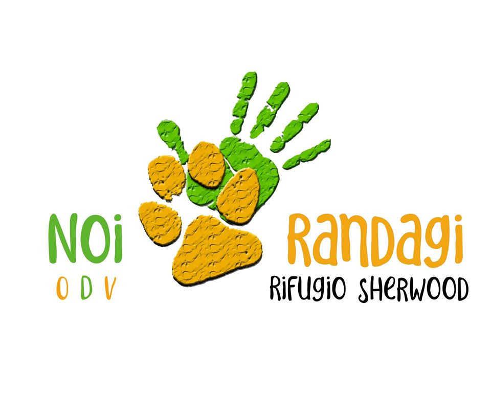 Rifugio Sherwood di Genova - Fabio Calvari Television